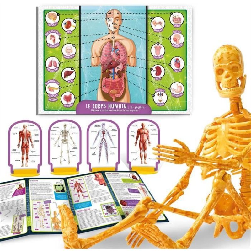 Découverte du corps humain - Kit Scientifique - I'M A GENIUS | Isleden